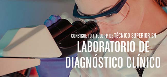 Cursos CEAC de FP en Salud, Empresa y Turismo